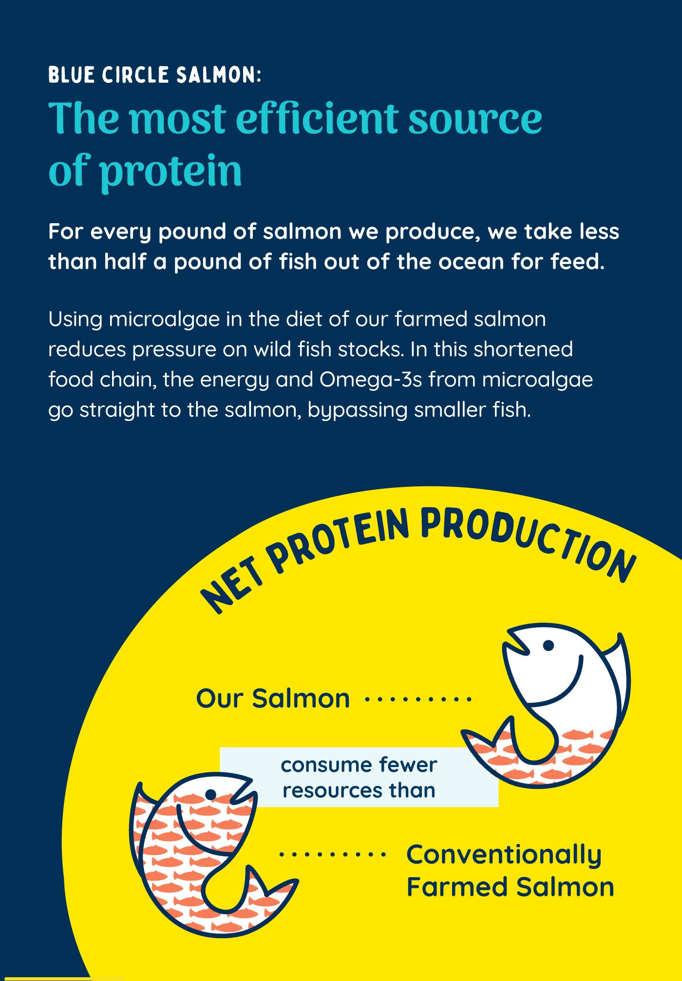 About Us – Blue Circle Foods
