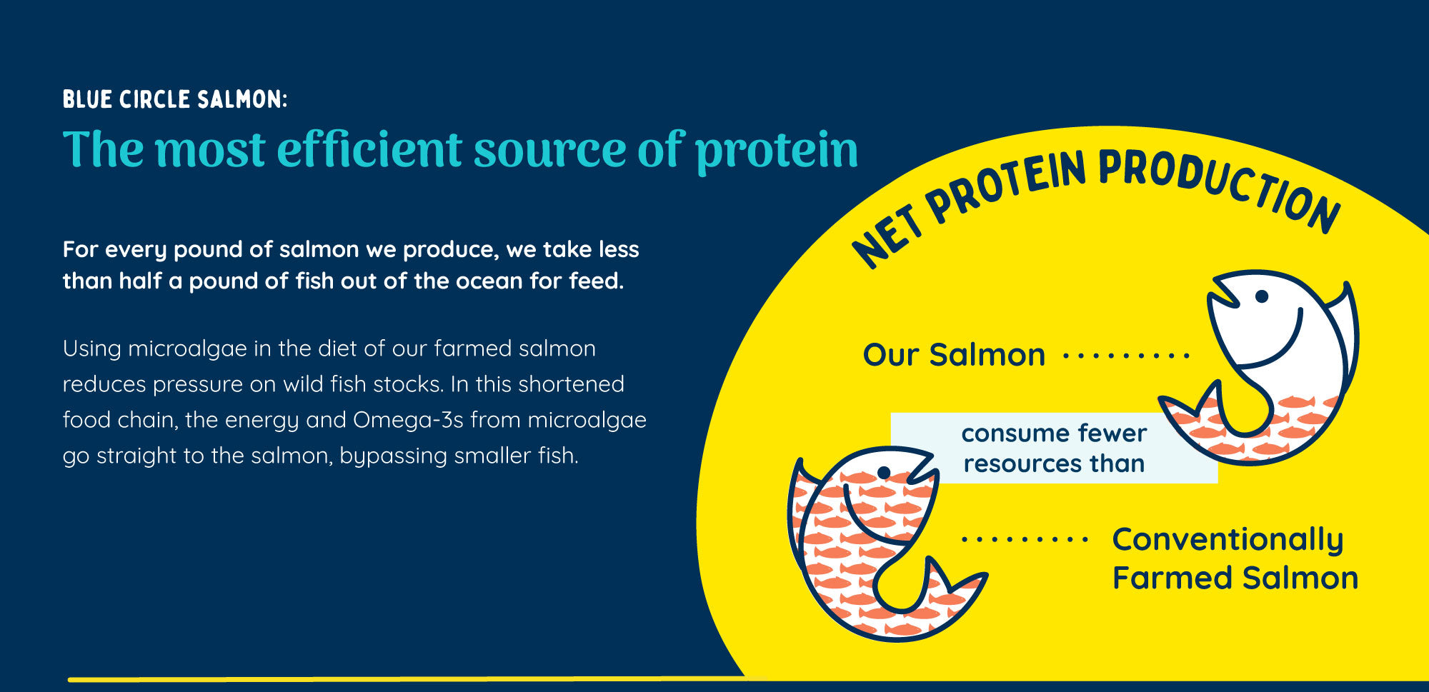 About Us – Blue Circle Foods